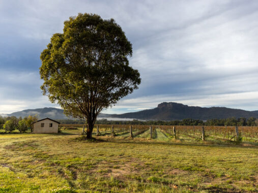 25 Excellent Things to do in the Hunter Valley | Australian Traveller