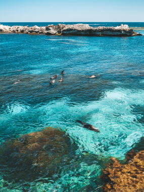 10 Prettiest Rottnest Island Beaches and Bays | Australian Traveller