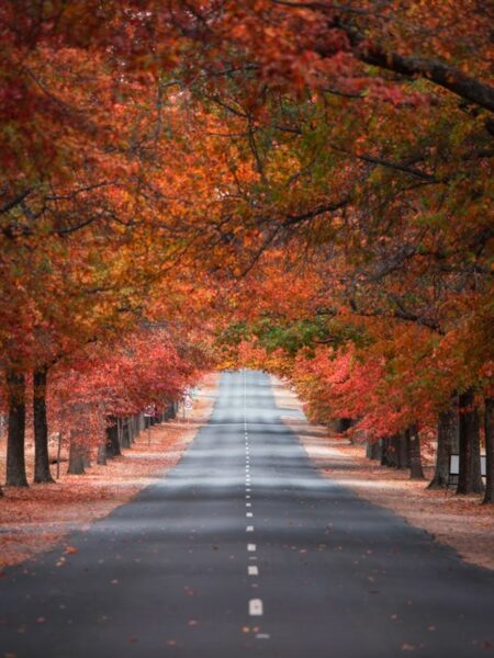 What's On In Your State This April - Australian Traveller