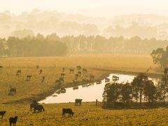 Australia's best weekend road trips - Australian Traveller