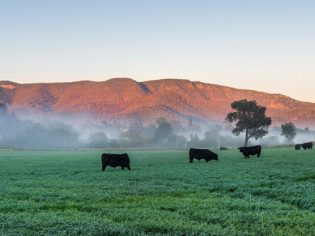 The Ultimate Guide to Your Next Trip to Mudgee