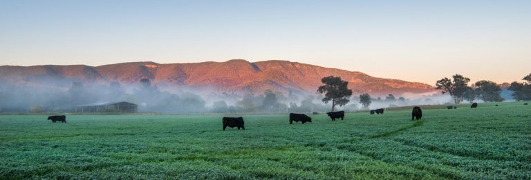 The Ultimate Guide to Your Next Trip to Mudgee
