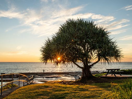 The Ultimate Guide To Yamba's Beaches - Australian Traveller