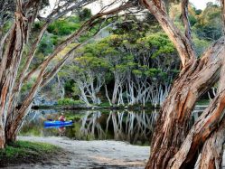 11 Best Camping Spots On Kangaroo Island - Australian Traveller