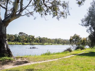 6 must-see natural attractions in Geelong and the Bellarine Peninsula ...