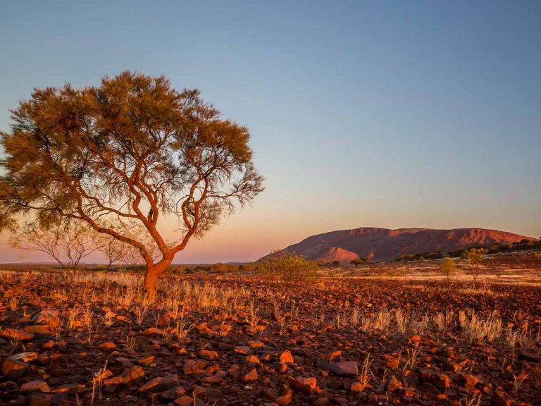 Outback Western Australia Guide