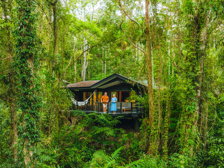 6 top spots for camping in Cape Tribulation - Australian Traveller