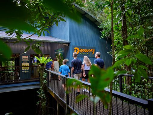 6 Dreamiest Things To Do In The Daintree - Australian Traveller