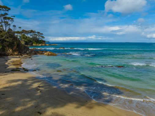 16 Best Things To Do in Batemans Bay | Australian Traveller