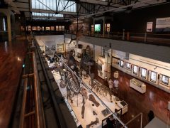 11 of the best things to do in Launceston