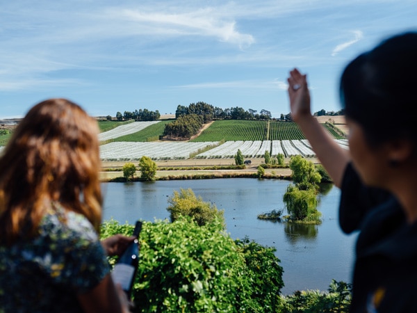 The essential guide to Launceston Markets - Australian Traveller