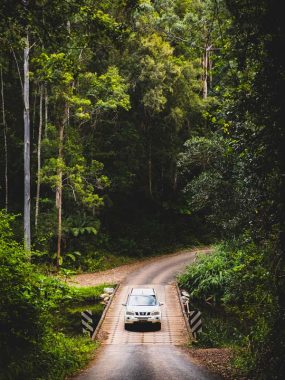 The Waterfall Way Scenic Drive Highlights - Australian Traveller