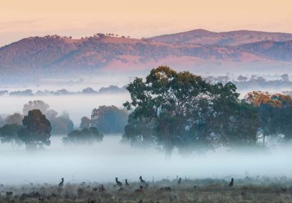 The Ultimate Guide to Your Next Trip to Mudgee
