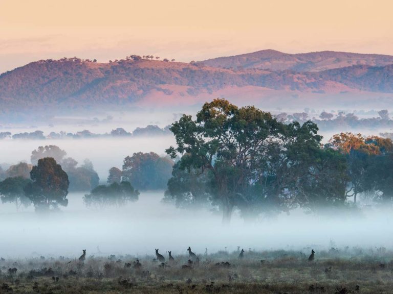 The Ultimate Guide to Your Next Trip to Mudgee