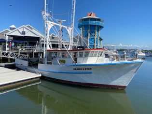 Unforgettable Things To Do In Mooloolaba | Australian Traveller