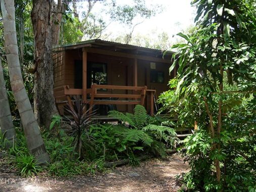 A nature lover’s guide to the best Port Stephens camping
