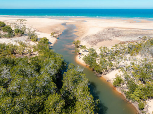 Your ultimate guide to the Tiwi Islands