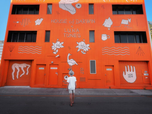 19 of the best things to do in Darwin