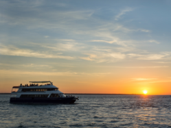 The Best Bars in Darwin for Every Occasion | Australian Traveller