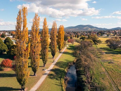 Tenterfield Accommodation and Travel Guide - New England High Country