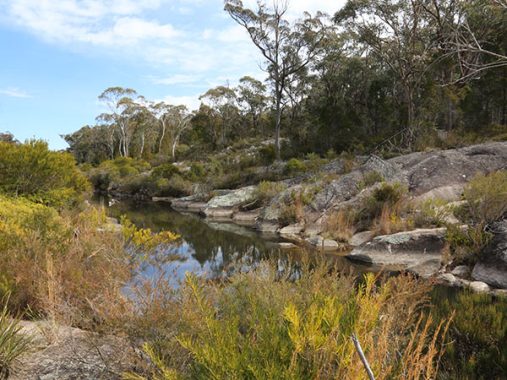 Best Tenterfield accommodation, cafes and things to do