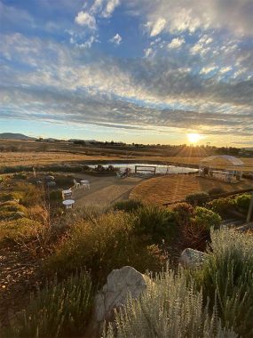 Best Tenterfield accommodation, cafes and things to do