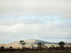 Best Uralla accommodation, cafes and things to do