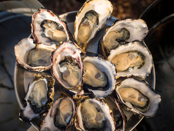 Bruny Island’s Best Restaurants and Food Experiences