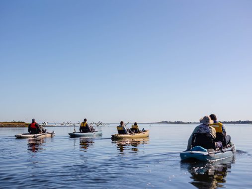 The 9 best things to do in Tamar Valley