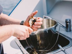 21 Incredible Things to Do on Bruny Island