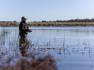 The 9 best things to do in Tamar Valley