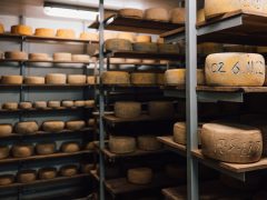 A 12-hour Bruny Island Day Trip Itinerary - Australian Traveller