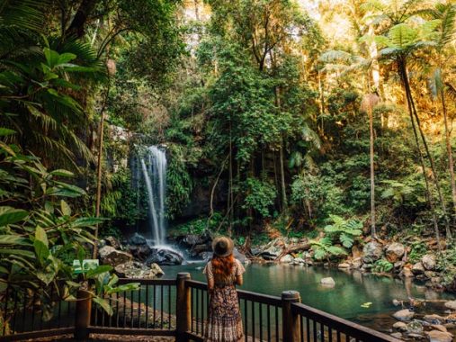 The Best Trails For Hiking In Brisbane - Australian Traveller