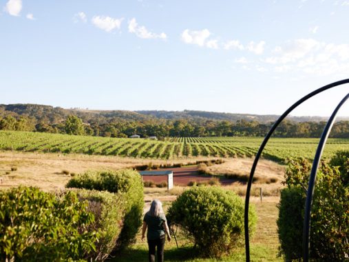 15 of the best McLaren Vale wineries to suit every taste