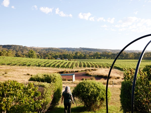 15 of the best McLaren Vale wineries to suit every taste