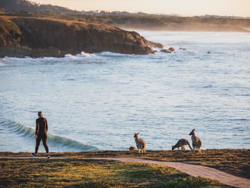 7 Towns to Visit From Yamba to Coffs Harbour - Australian Traveller