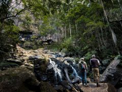 8 Incredible Waterfalls Near Yamba - Australian Traveller