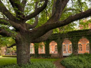 Bowral Holidays & Travel Guide - Australian Traveller