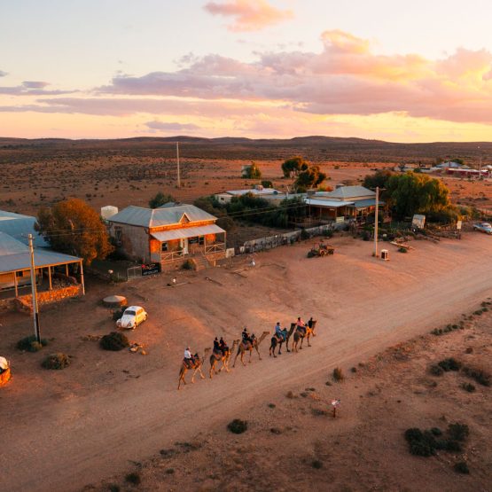 The Ultimate Guide to Your Next Broken Hill Holiday