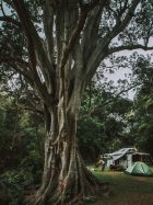 Best Camping Sites on the Gold Coast | Australian Traveller
