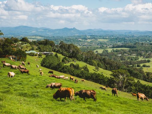 11 Byron Bay Hinterland Towns To Visit - Australian Traveller
