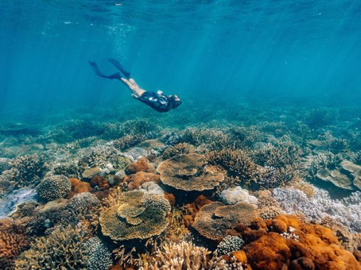 Your ultimate guide to Great Keppel Island