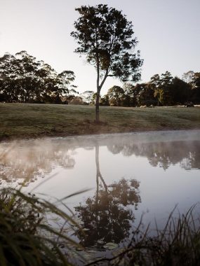 Your guide to Mapleton, the Sunshine Coast's hidden gem