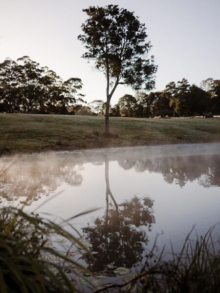 Your guide to Mapleton, the Sunshine Coast's hidden gem