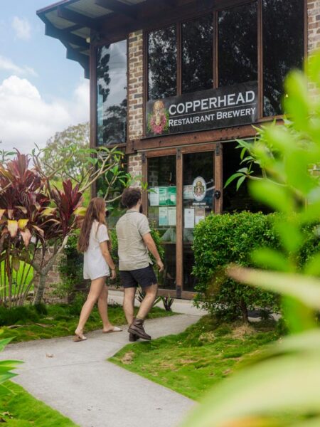 Your Noosa Brewery And Distillery Guide - Australian Traveller