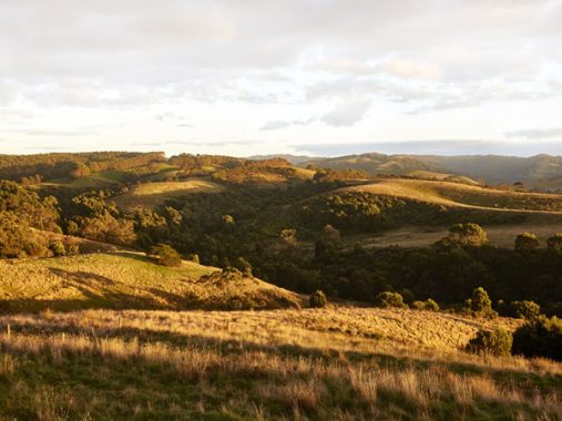 Australia's Best Emerging Nature Experiences - Australian Traveller