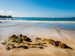 Your Ultimate Batemans Bay Beach Guide - Australian Traveller