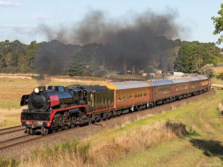 The Kiama Picnic Train - Australian Traveller