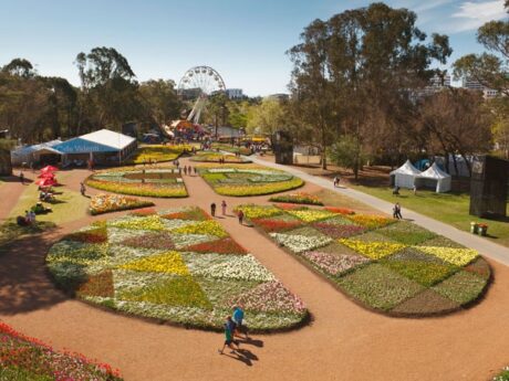The Insider Guide To Floriade In Canberra | Australian Traveller
