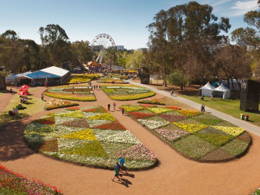 The Insider Guide To Floriade In Canberra | Australian Traveller